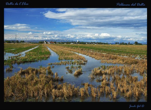 Español – Barraca Vilbor