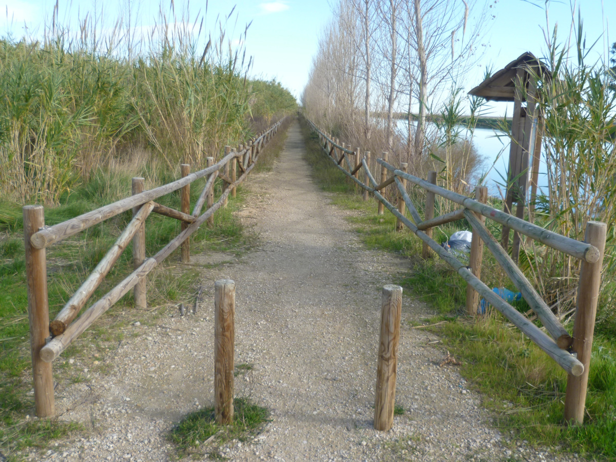 Entorn – Barraca Vilbor